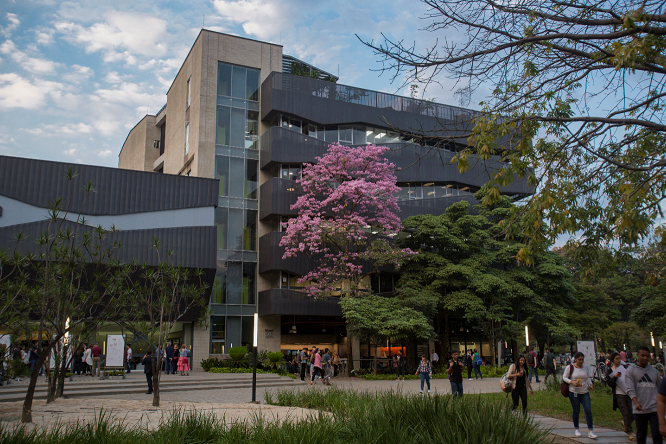 Programs > Education Abroad